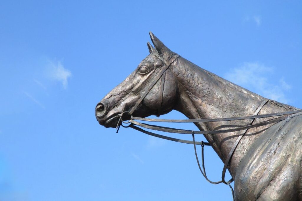 150 éve született a magyar csoda ló, Kincsem - Agrotrend
